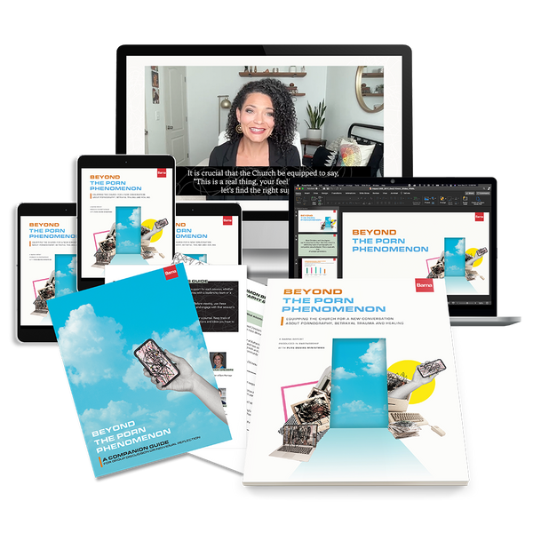 Beyond the Porn Phenomenon – Barna Resources